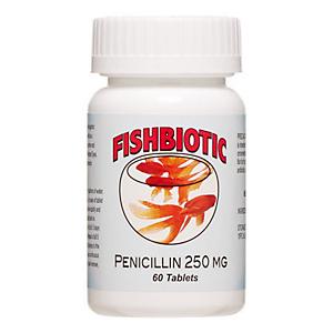 Fish Fishbiotic Penicillin 250mg (60 ct) | Rockin’ P Farm & Feed