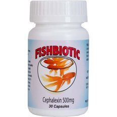 Aqua-Ceph Forte Cephalexin 500mg (100 ct) | Rockin’ P Farm & Feed